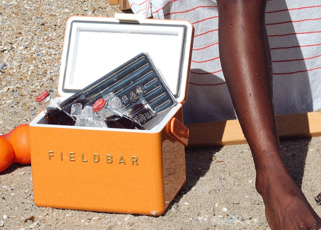 Ice Bar Set | Stainless Steel Cooler Box Ice Brick - The Fieldbar Co.