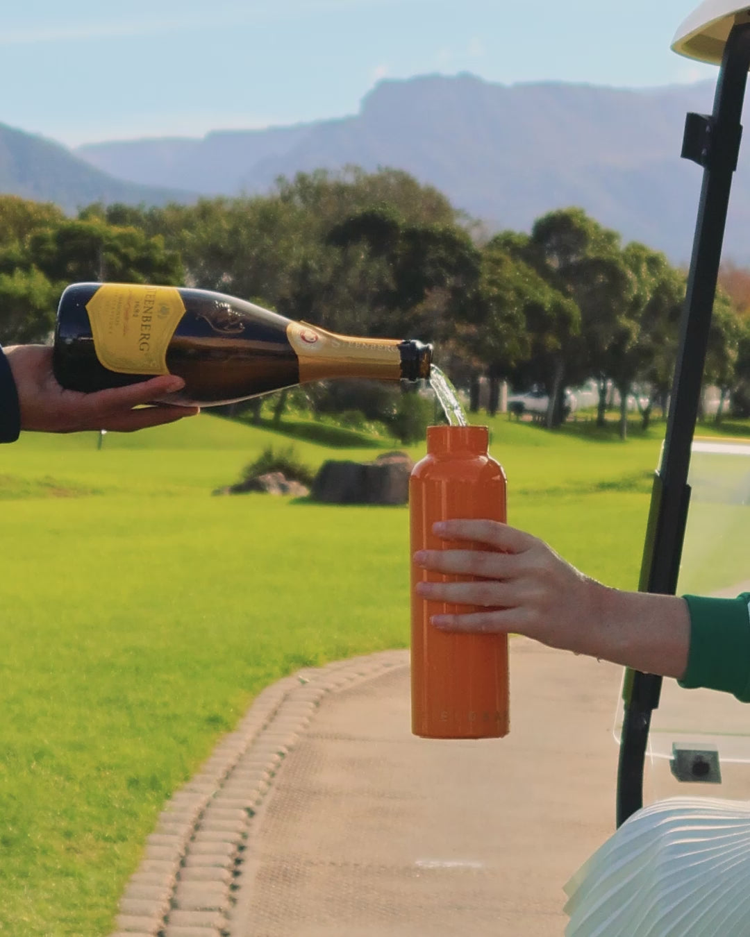 Parisian Green Field Bottle | Insulated Stainless Steel Flask - The ...